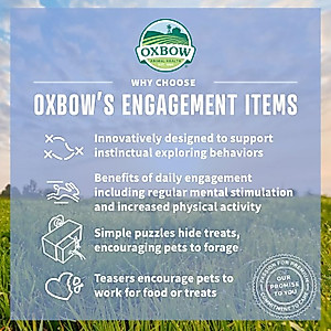 Oxbow Animal Health Enriched Life Wobbly Ring Stack, 0.16 lb.