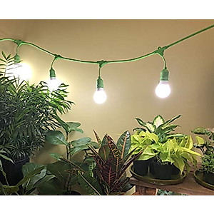 MiracleLED 604594 Multi-Plant Full Spectrum Grow Light Bulb, Single Pack, White 150W