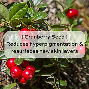 Hygiene Hero Exfoliating Cranberry & Daily Ritual Oatmeal Private Bar Soap 3.25 oz / 92 g - Face & Body Wash for Dark Spots, Intimate Areas, Underarms - Set of 2