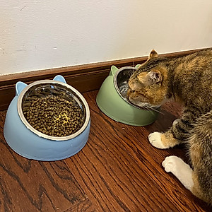 PINVNBY 2PCS Raised Cat Bowl Tilted 15° Slanted Elevated Bulldog Feeder Non-Spill Dog Kitten Food Dish Anti-Slip Detachable Pet Stainless Steel Slope Base for Small Pets Blue&Green