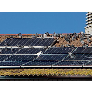 Squirrel Guard 8" Kit. 100 ft. PVC Coated Galvanized Steel Roll with 100 Aluminum Fasteners