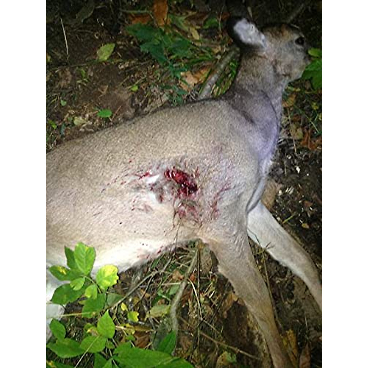 Fire-N-The-Hole Chisel Tip Ring Broadhead Compound Bow 100 Grain 3 Pack