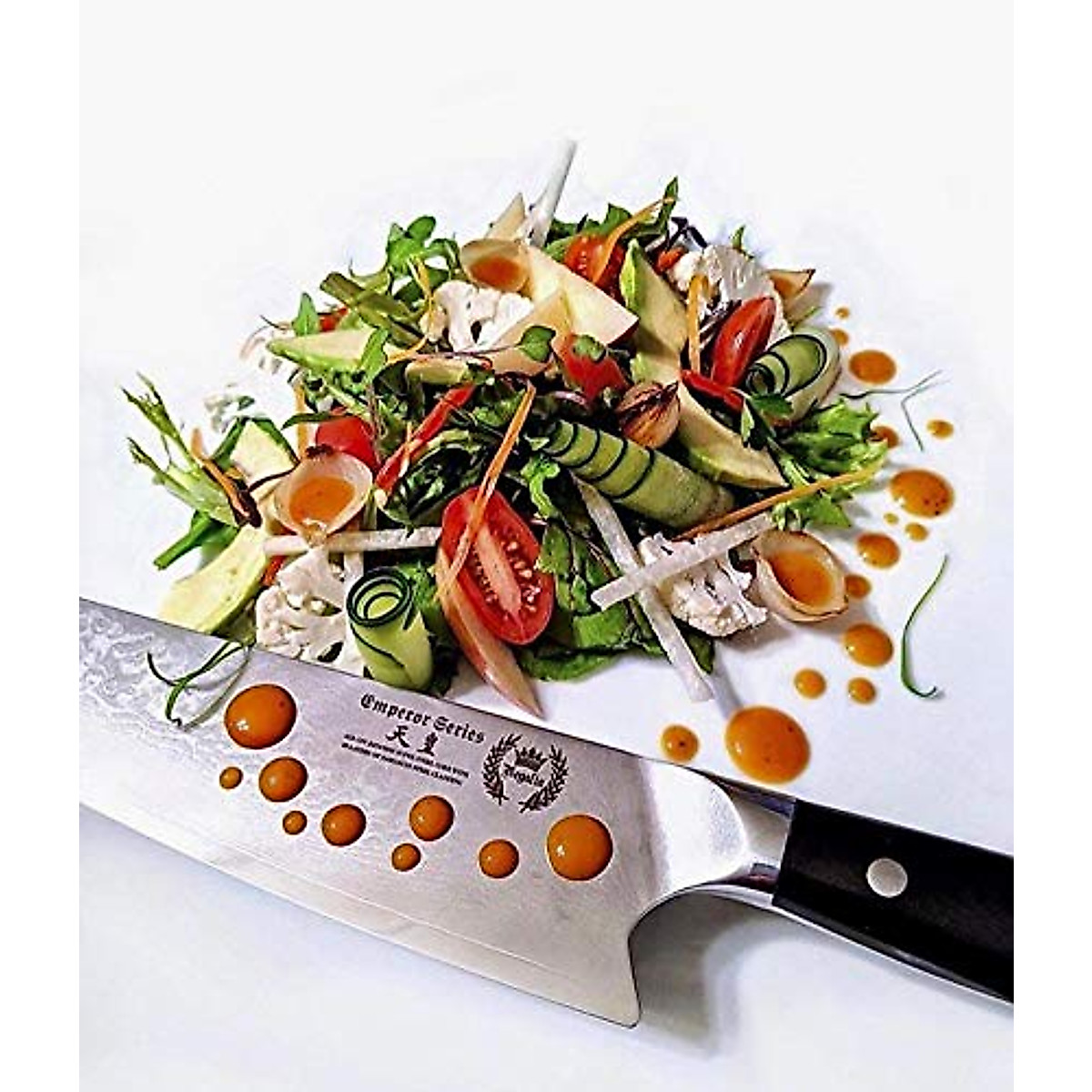 Regalia Kiritsuke Chef Knife: Professional Japanese 8.5 Inch AUS10 Premium High Carbon 67 Layer Damascus Steel Chef’s knives w/G-10 Handle Knives