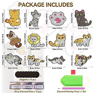Vcekract 12 PCS Diamond Painting Refrigerator Magnets, Cat Diamond Painting Kits for Adults, Diamond Art Kits for Home Decor, Small Diamond Art Crafts