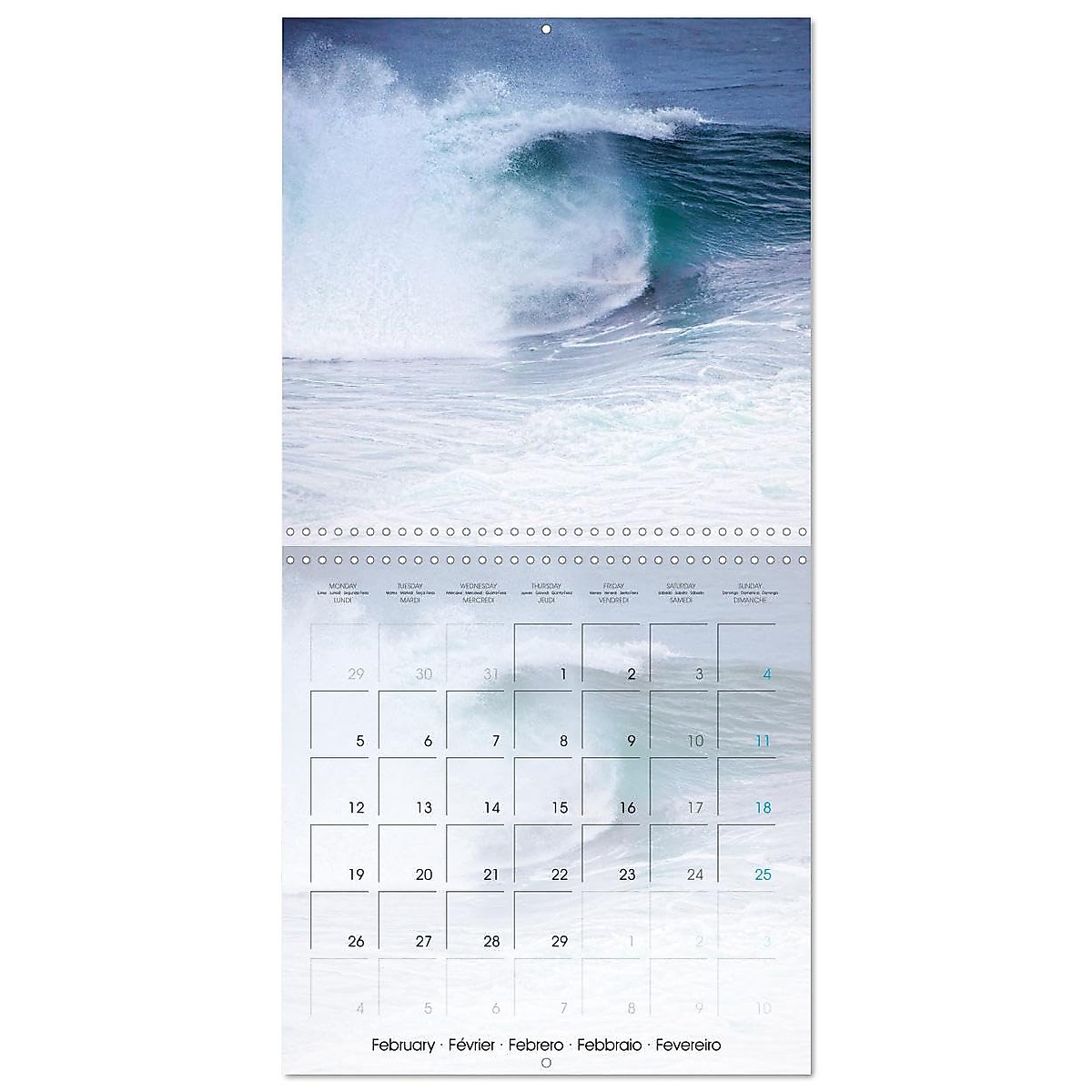 Surfing Passion (Wall Calendar 2024 12" × 12"), CALVENDO 12 Month Wall Calendar