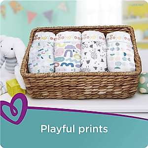 PAMP CRUIS S6 Enormous BNS 1/92