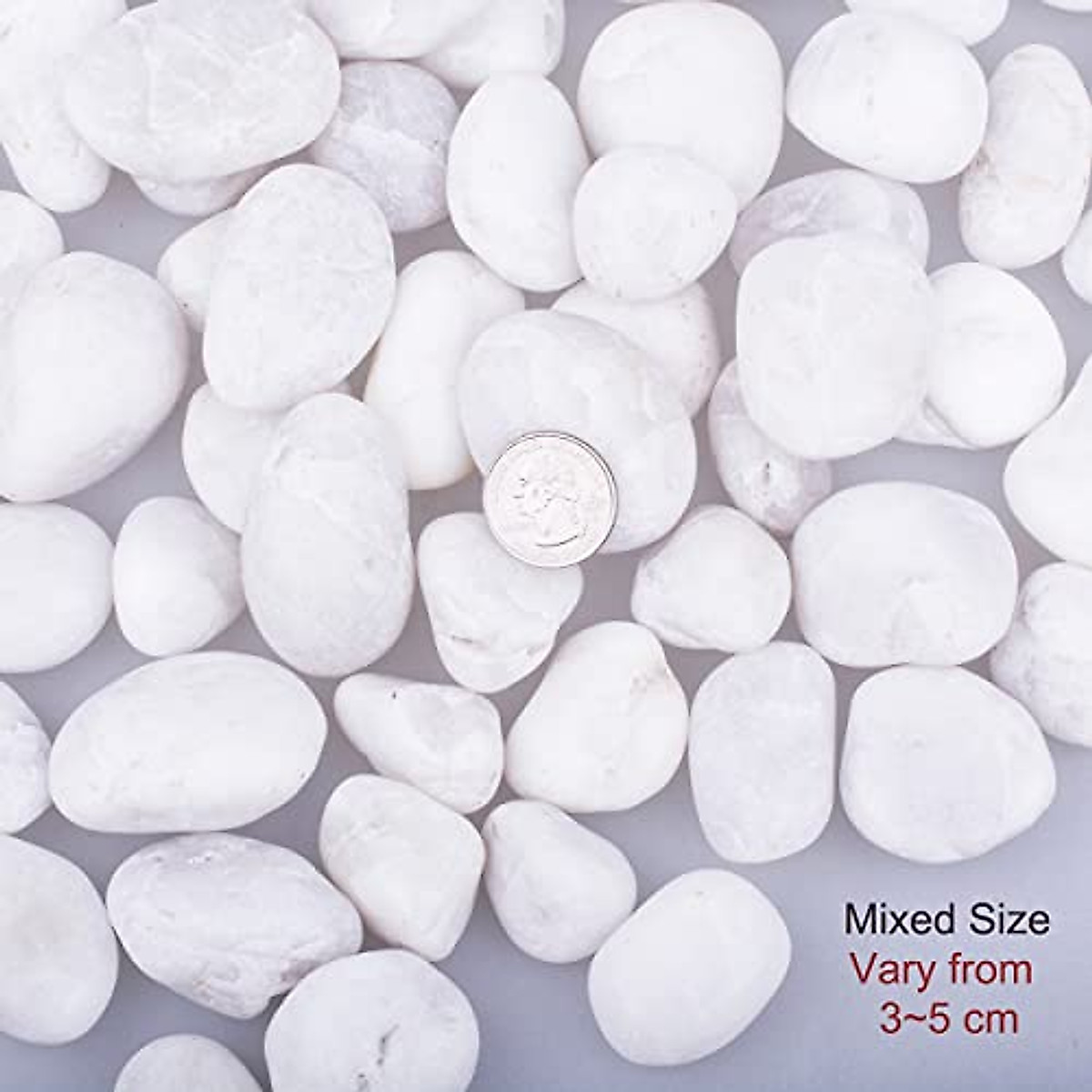 HOT SEAL 2.0 lb White River Rock Stones 1~1.5", Natural Decorative Highly Polished Pebbles, Indoor Decorative Stones for Plant, Aquariums, Landscaping, Garden Flower Bed, Vase Fillers