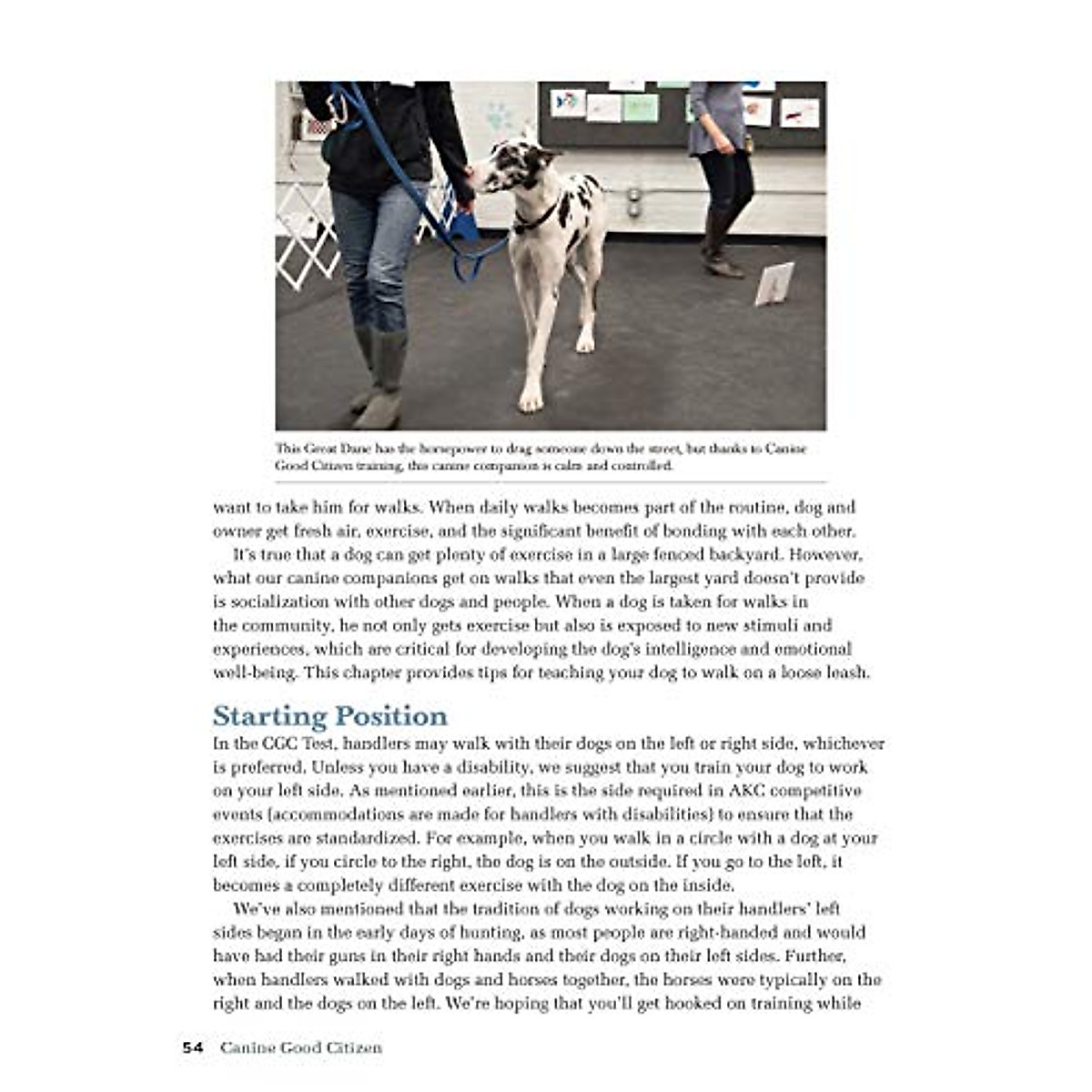 Canine Good Citizen: The Official AKC Guide, 2nd Edition: Ten Essential Skills Every Well-Mannered Dog Should Know (CompanionHouse) How to Train, Practice, and Pass the American Kennel Club's CGC Test