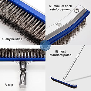 Fimimo Heavy Duty Pool Brush, Swimming Pool Cleaning Brush with Stainless Steel bristles & EZ Clips for Swimming Wall, Tile, Floors, Concrete Wall to Fit Most Poles