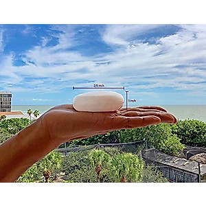 Clever Yoga Wave Natural Shampoo Bar Variety Pack - Handmade, Non-GMO & Vegan, Fresh Citrus, Argan Oil & Unscented Organic Shampoo Bar Set For Shiny Hair for Women & Men, Long-Lasting (80-120 Uses)