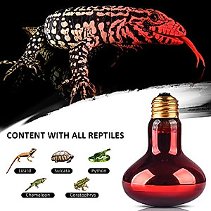 Ordekcity Reptile Heat Lamp Bulb 100W UVA Basking Spot Heat Lamp Reptile Light Tortoise Light Turtle Bulb for Animals Bearded Dragon-2 Pack