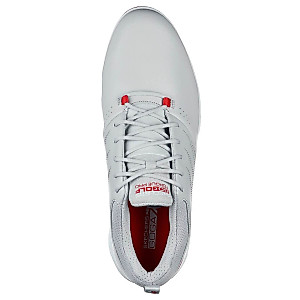 Skechers mens Torque Pro Waterproof Golf Shoe, Gray/Red, 9.5 US