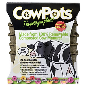 CowPots CP4-12 Square, 4-Inch (12 Pack), Brown