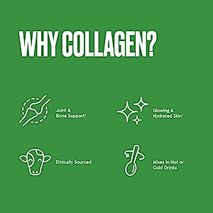 Bulletproof Collagen 18g Protein Powder, 8.5 oz, Unflavored