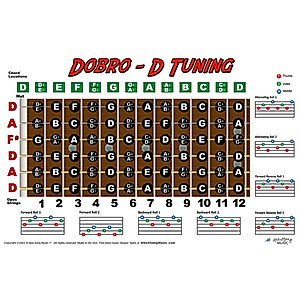 Dobro Open D Tuning Resonator Guitar Fretboard Note & Rolls Chart - Beginners & Intermediate Instructional Easy Poster Chords 11x17 | A New Song Music