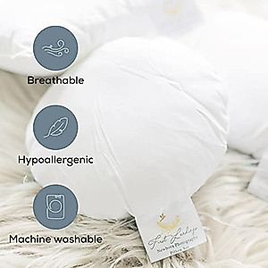 First Landings Newborn Posing Pillows - Photography Props for Baby Boy or Girl Photoshoots - Donut Pillow and 3 Posing Pillows