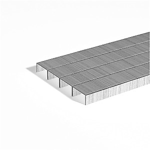 TRU RED TR58090 Standard Staples, 1/4-Inch Leg Length, 5000 Staples/Box