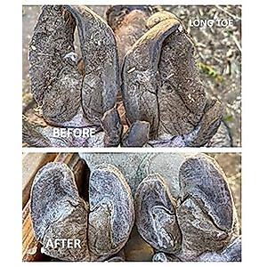 Basic Pig Hoof Trimmer Set – Electric Plug in - 110 Volt - Accessories Included