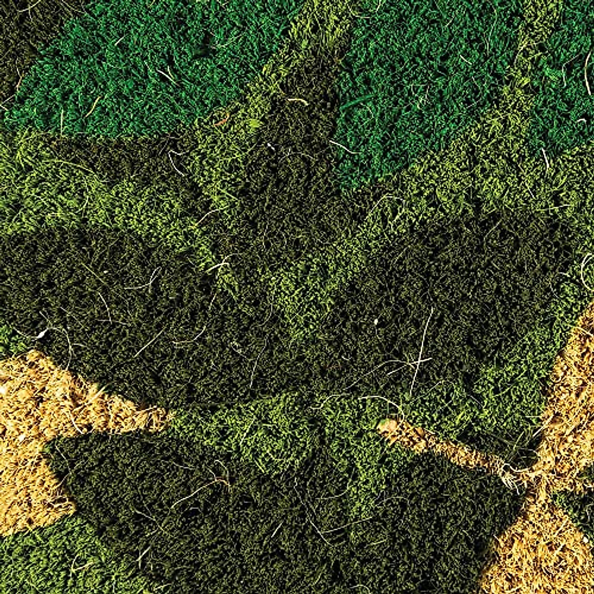 Notrax, Green Leaf, Handmade Natural Coir Doormat, Entry Mat for Indoor or Outdoor Use, 18"x30", C11 (C11S1830GL)