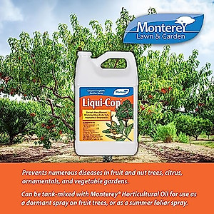 Monterey Liqui-Cop 1gal