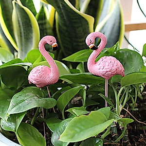PEGZOS Resin Mini Flamingos Set of 4 for Plant Pots, Miniature Figurines & Accessories for Fairy Garden (Pink, 4pc)