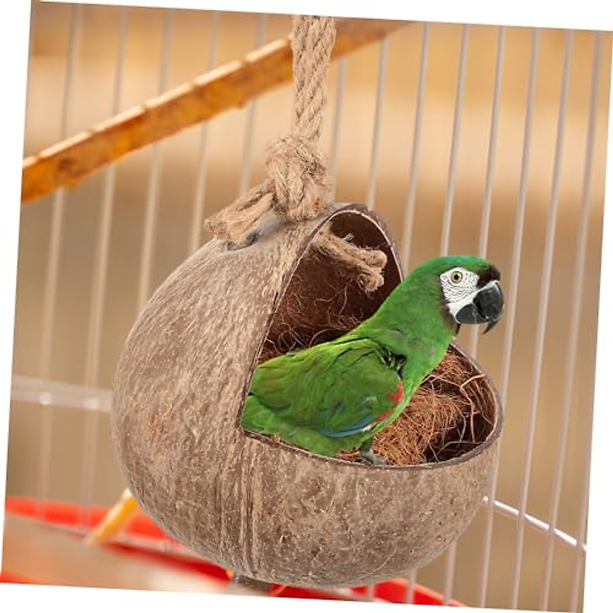 balacoo Coconut Shell nest Parrot Hammock Hamster Hammock Suspending Bird Hammock Bird House Parrot Supply Bird Coco Swing Parrot Sleeping Hammock Bird Sleeping Nest The Bird's nest Bed