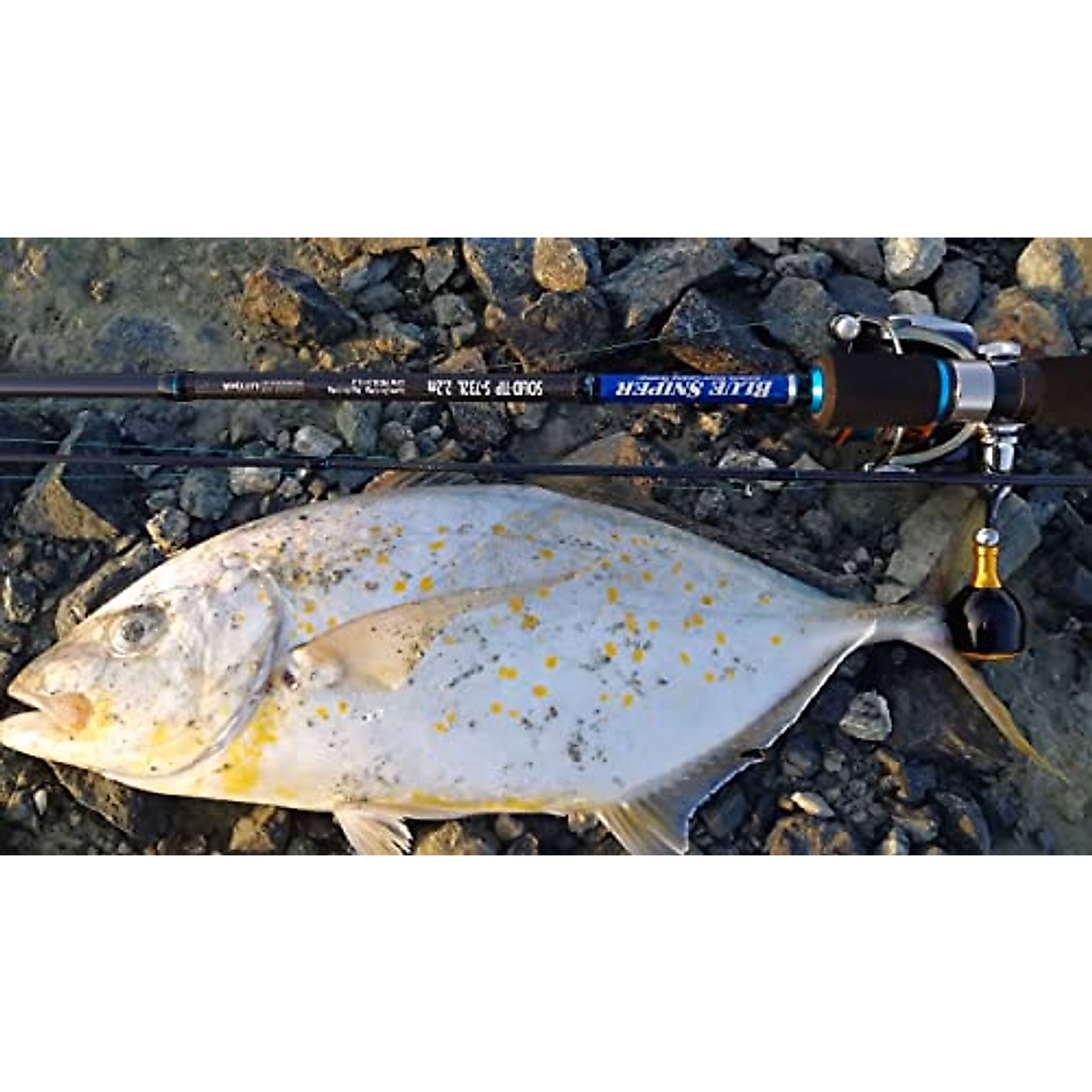 LITTMA Trout Rod7‘3“Panfish Rod Trout Fishing Rod Light &Ultralight Fishing Rod Crappie Rods Ultralight Spinning Rod 2 Piece Graphite Lightweight Trout Rods Spinning Ultra Light Fishing Spinning Rod