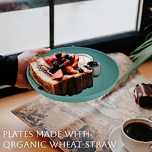 Homienly 6 PCS Deep Dinner Plates Alternative for Plastic Plates Microwave and Dishwasher Safe Wheat Straw Plates for Kitchen Unbreakable Kids Plates with 6 Colors (8 INCH)