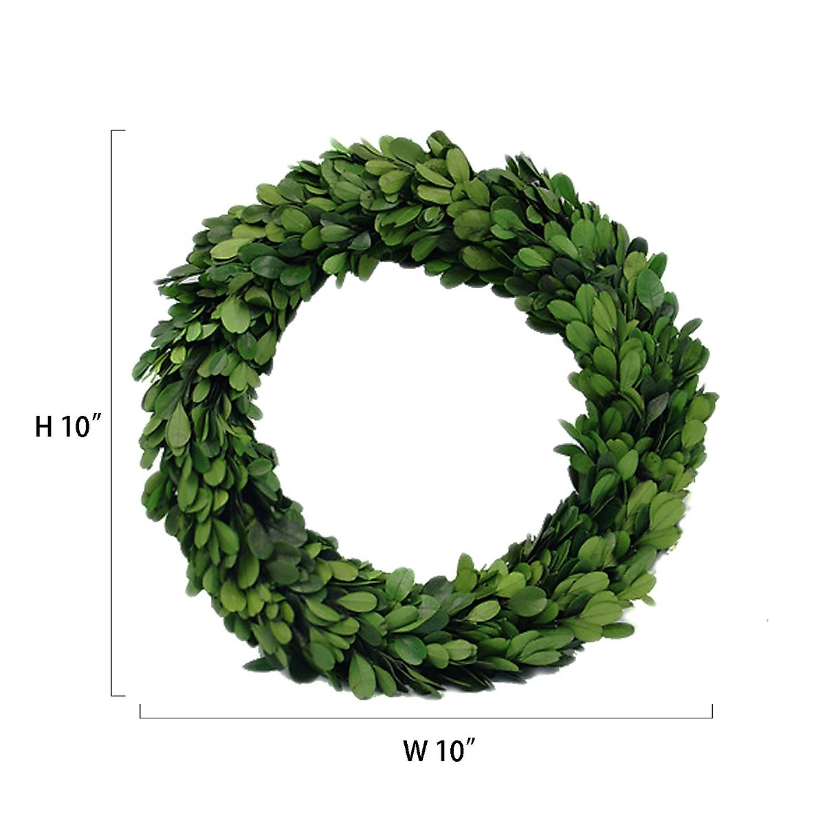Preserved Garden Boxwood Round Wreath 10" By COCOMIA