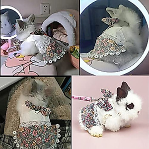Anelekor Rabbit Lace Skirt with Bowknot Squirrel Harness and Leash Set Cat Princess Dress Small Animals Clothes Puppy Vest Walking for Dwarf Kitten Ferret Guinea Pig Mini Dog (Small)