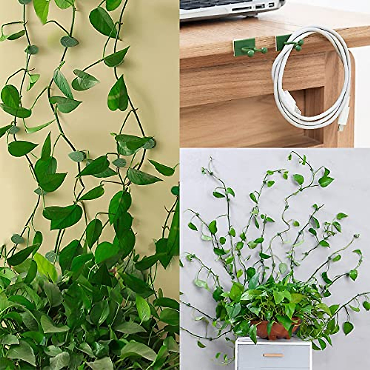 LUCKJUJU 100 Pcs Plant Climbing Wall Fixture Clips Self-Adhesive Hook Vines Traction Clips Invisible Holder Garden Green Leaf Simulation Self-Adhesive Hook Wire Fixing Supporting