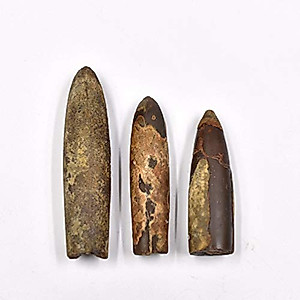 iplusmile 10pcs Paleontology Belemnite Fossil Specimen Science Ornament Laboratory Supply