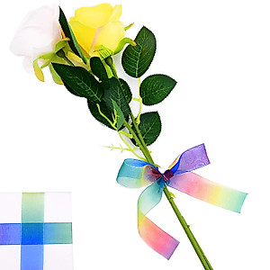 Livder Organza Ribbons Chiffon Ribbon, 60 Yard 1 Inch Width Shimmer Band for Gift Package Wrapping, Hair, Wedding, Party Decoration, Rainbow