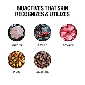 Grown Alchemist Hydra-Repair Day Cream with Camillia, Geranium Blossom & Vitamin E. Face Moisturizer to Prime and Hydrate Skin (65ml).