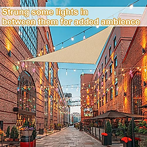 2 Pack Triangle Sun Shade Sail Canopy 10 x 10 Ft Sail Canopy UV Block for Outdoor Patio Garden Backyard Lawn (Beige)