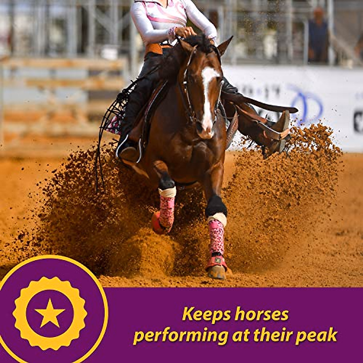 Horse Health Maxum Crumbles Concentrated Feed Supplement for Horses, Provides a Wide Range of Beneficial nutrients for Today's Equine Athlete 25 Pound
