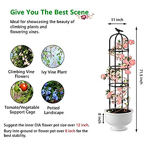 CKE NEW 2 Pack Garden Obelisk Trellis for Climbing Plants Outdoor, 6 FT Tall Rustproof Metal Plant Trellis Support Tower Obelisk Garden Trellis for Potted Climbing Flower Vegetable Vine Indoor Outdoor