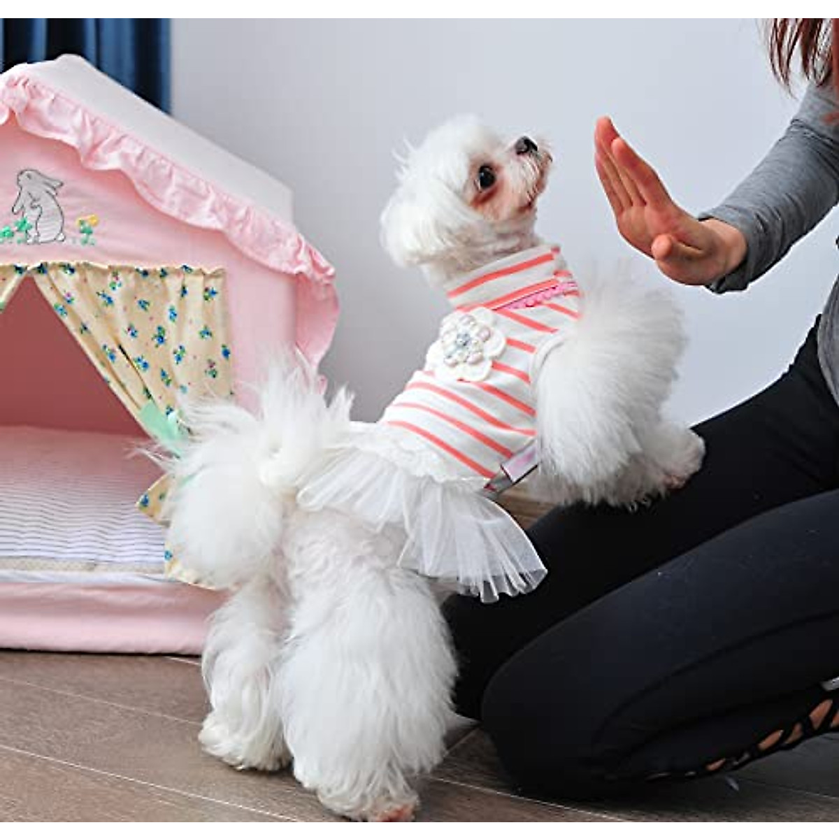 MSNFOASM Pet Dog Pink Stripe Dog Dress,Dog Tutu Lace Skirt Wedding Dress for Small Girl Dogs Cats（Pink Stripe M）