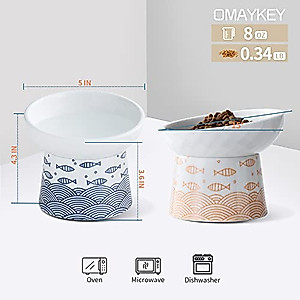 Ceramic Raised Cat Bowls, Elevated Tilted Cat Food and Water Bowls Set, Porcelain Stress Free Pet Feeder Dish for Cats and Small Dogs, Dishwasher and Microwave Safe, Set of 2