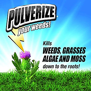Pulverize PWG-UT-128 Grass Ready to Use Weed Killer, 1 Count (Pack of 1), Clear