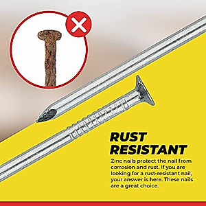 Qualihome Hardware Nail Assortment Kit, Includes Finish, Wire, Common, Brad and Picture Hanging Nails