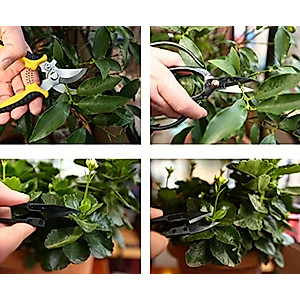 Phoenicus Bonsai Tools Set 13 Pcs High Carbon Steel Succulent Gardening Trimming Tools Set, Bonsai Scissors Set, yellow