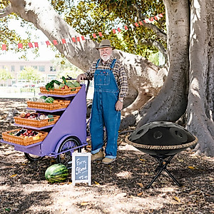 Handpan 432HZ,10 Sounds 22 Inches D Minor Handpan Drum,Premium Steel Hand Pan Instrument for Adults,Classic Black