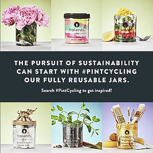 Talenti Ice Cream, Coffee Chocolate Chip, 16 oz (Frozen)