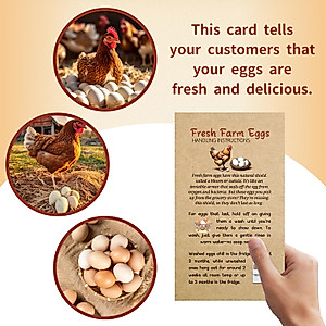 ZANHIX 200 Pcs Farm Fresh Eggs Handling Instructions and 500 Pcs Egg Cartons Labels, 2 x 3.5 Inches Egg Stamps for Fresh Eggs Card, 2 Inch Egg Carton Stickers for Fresh Eggs Sign