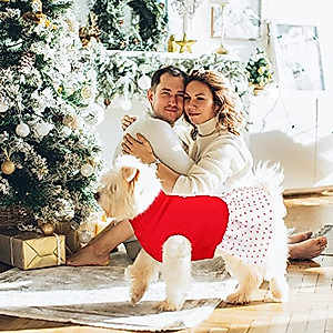 SAWMONG Dog Sweater Dress, Turtleneck Dog Sweater with Cute Bowknot, Doggie Knitwear Pullover with Leash Hole, Puppy Princess Dress Winter Clothes for Female Girl Doggy and Cats, Large