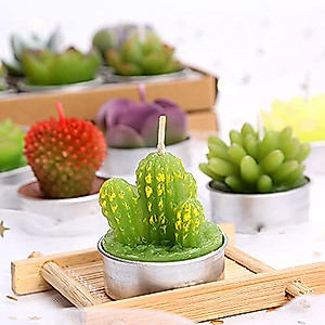 12 Pcs Cactus Tealight Candles Delicate Succulent Cactus Candles for Valentine's Day Birthday Party Wedding Spa Home Decoration Gifts