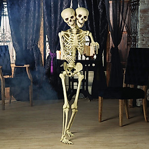 Fun Express Two-Headed Life-Size Human Skeleton (5 feet Tall) Posable