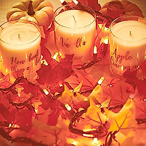 LUNA CANDLE CO. Vanilla Scented Jar Candle in 11oz. Clear Glass, Single Wick, Soy Wax, Up to 110 Hours of Burn Time, Great Gift for Home, Wedding, Birthday, Spa