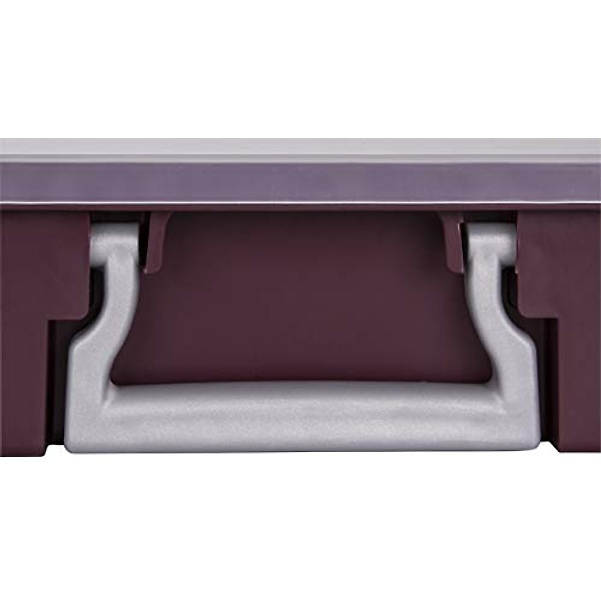 AB Designs 6955ABDP Super Satchel 1-Compartment Open Core, Stackable Home Storage Organization Container, Plum